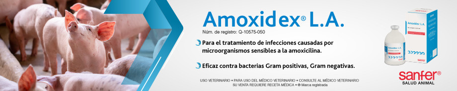 Sanfer | Salud Animal | Productos