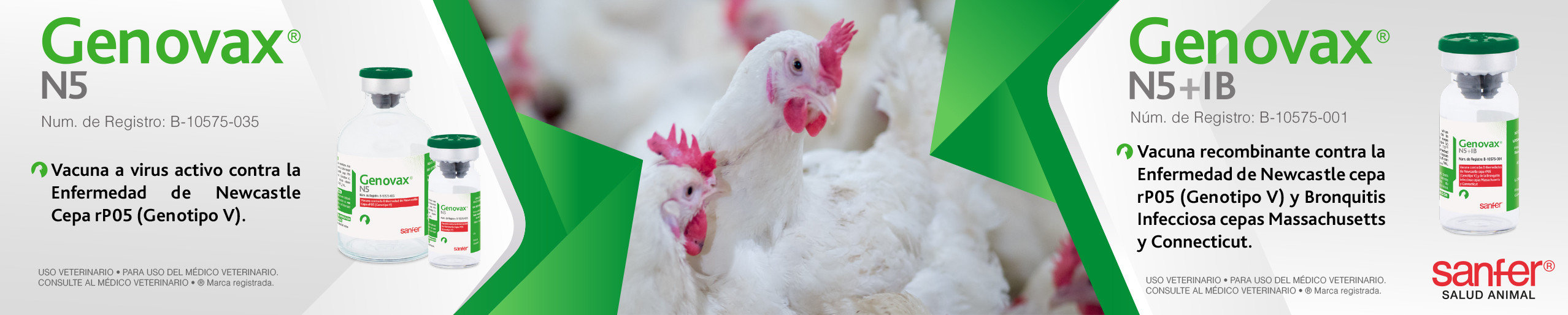 Sanfer | Salud Animal | Productos