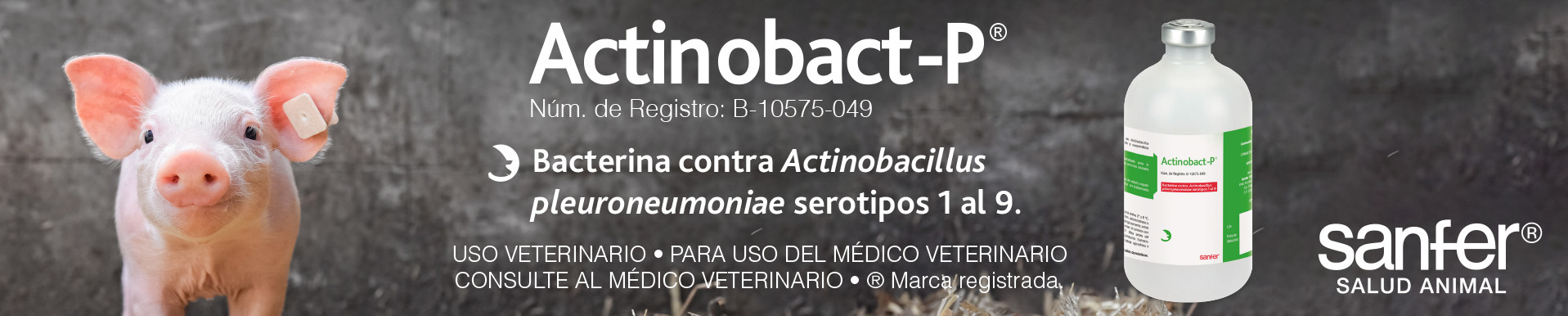 Sanfer | Salud Animal | Productos