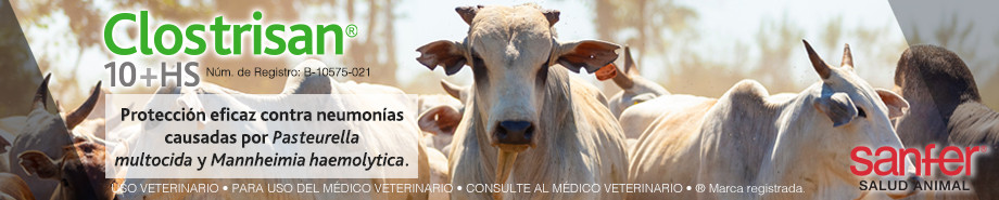 Sanfer | Salud Animal | Productos