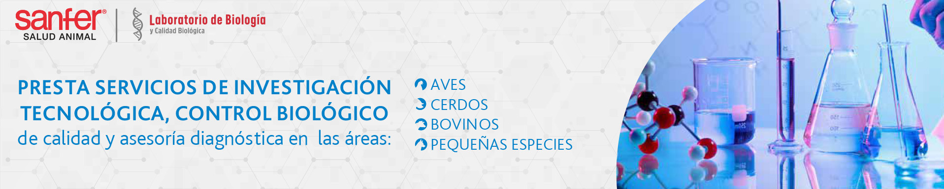 Sanfer | Salud Animal | Productos
