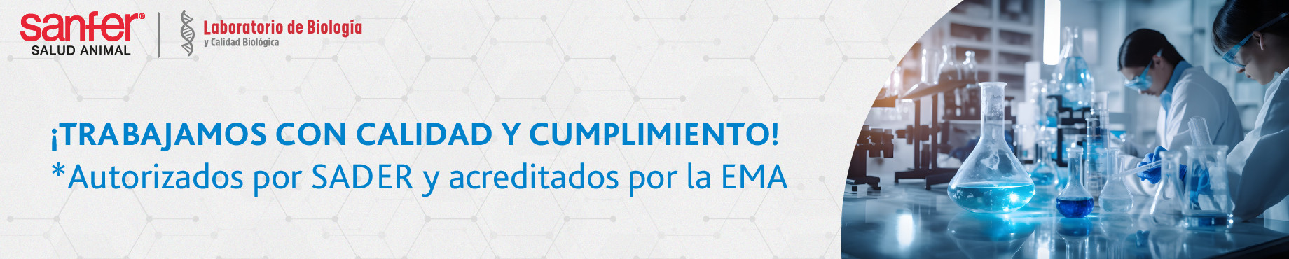 Sanfer | Salud Animal | Productos