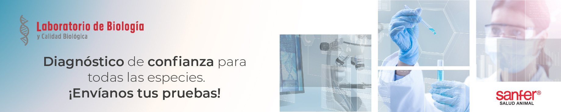Sanfer | Salud Animal | Productos