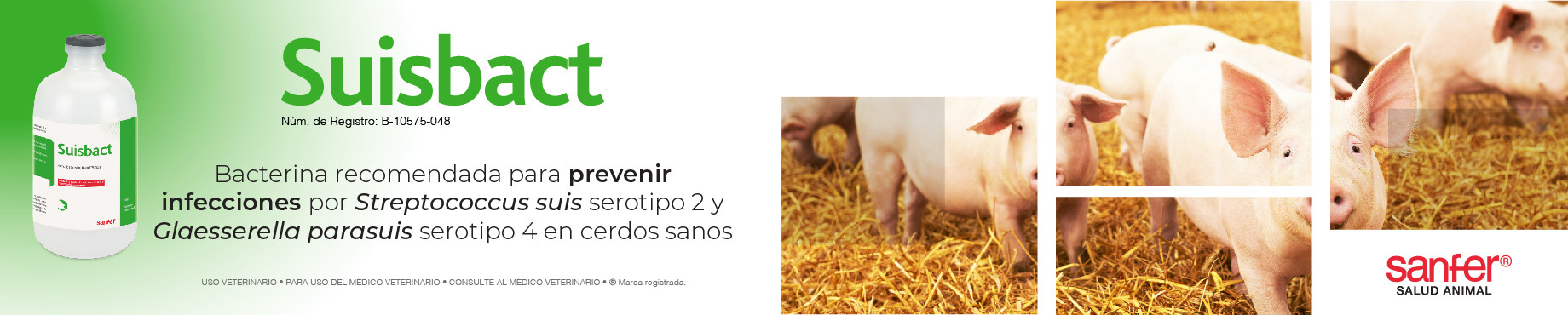 Sanfer | Salud Animal | Productos