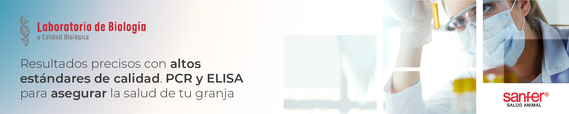 Sanfer | Salud Animal | Productos