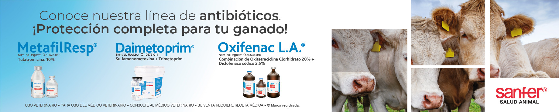 Sanfer | Salud Animal | Productos