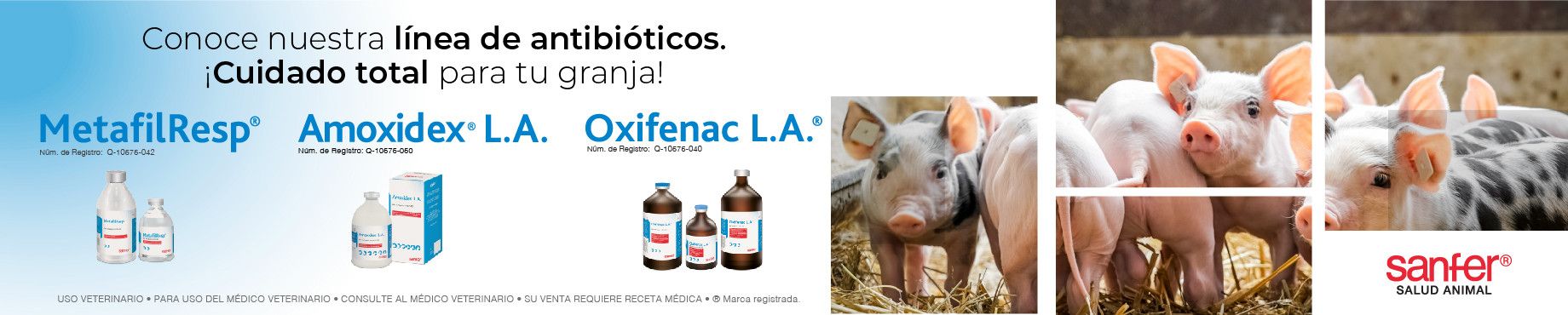 Sanfer | Salud Animal | Productos