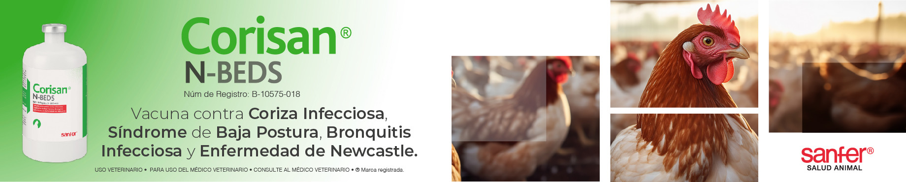 Sanfer | Salud Animal | Productos