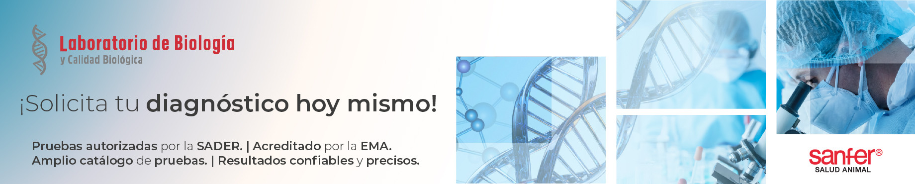 Sanfer | Salud Animal | Productos