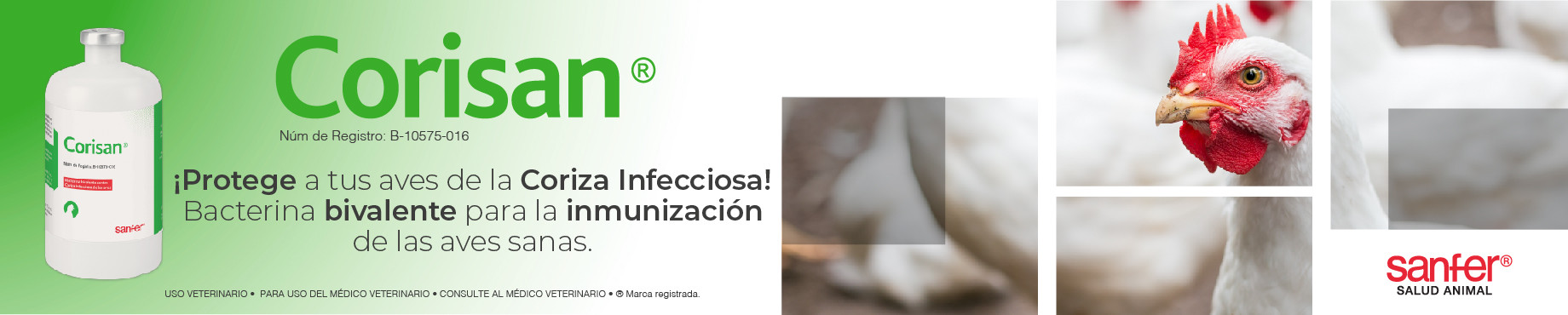 Sanfer | Salud Animal | Productos