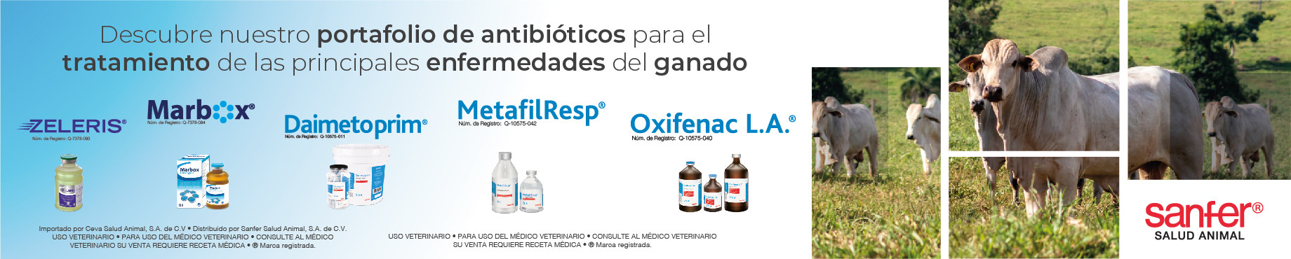 Sanfer | Salud Animal | Productos