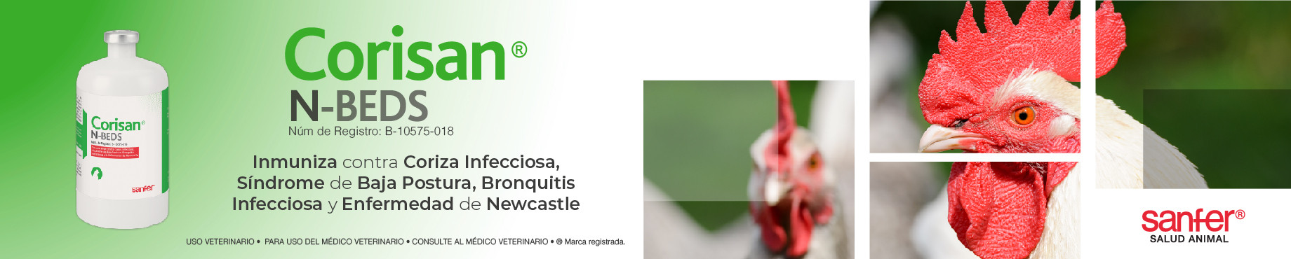 Sanfer | Salud Animal | Productos