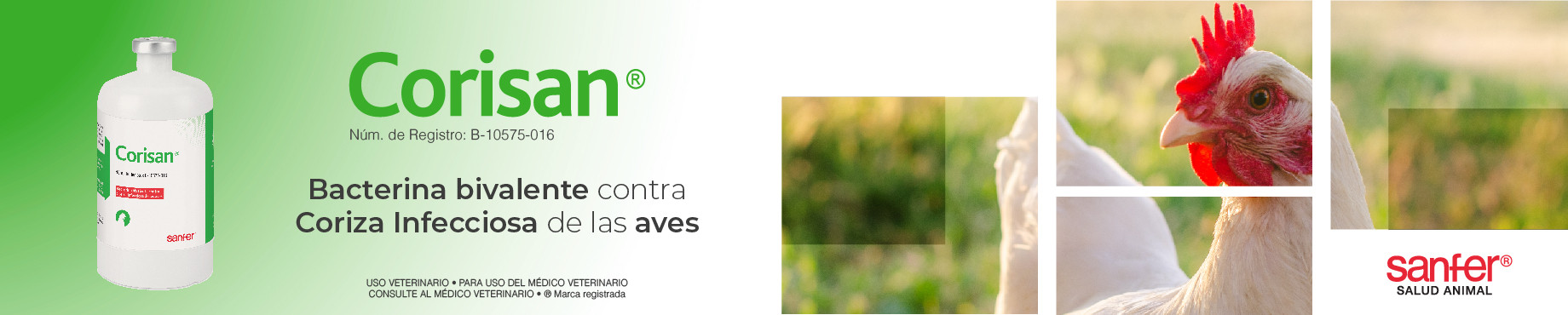 Sanfer | Salud Animal | Productos