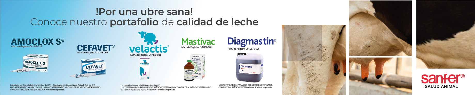 Sanfer | Salud Animal | Productos