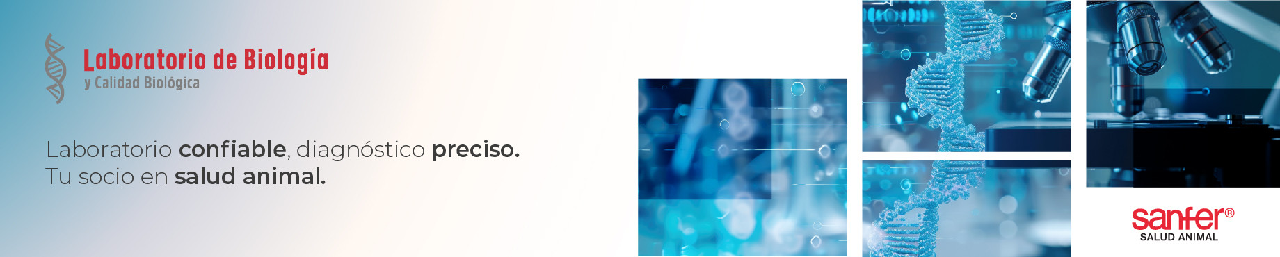Sanfer | Salud Animal | Productos