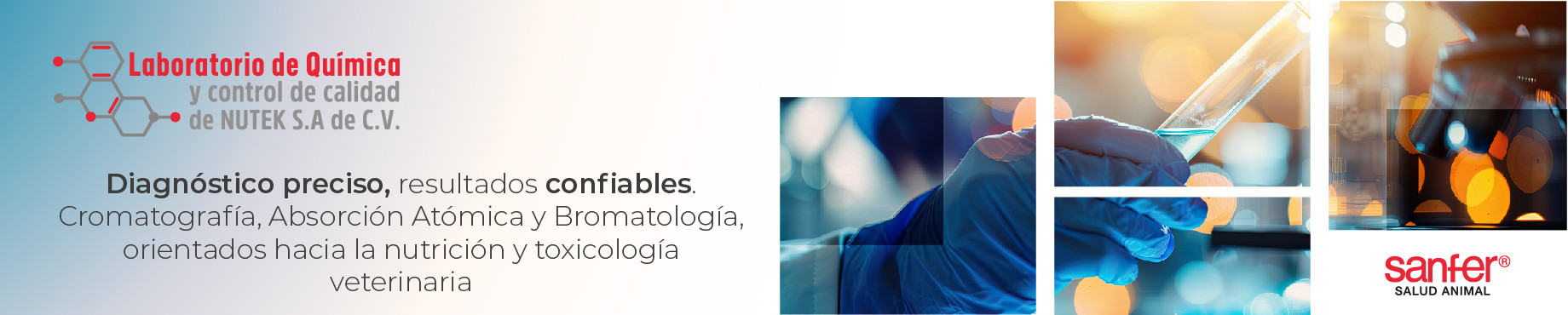 Sanfer | Salud Animal | Productos