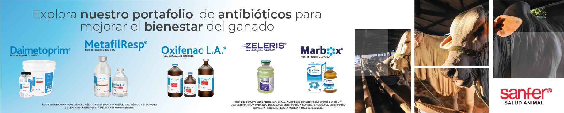 Sanfer | Salud Animal | Productos