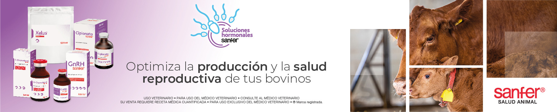 Sanfer | Salud Animal | Productos
