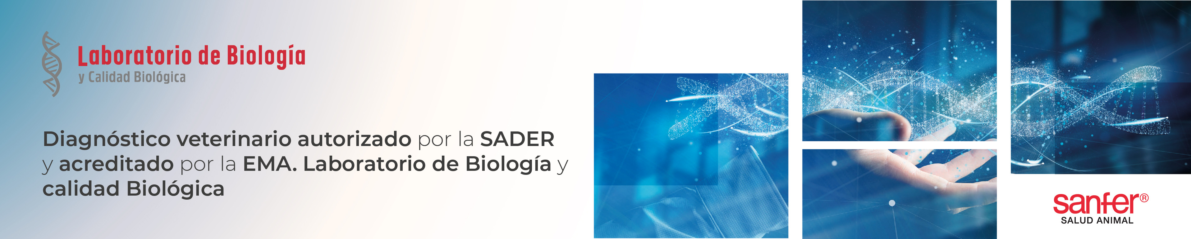 Sanfer | Salud Animal | Productos