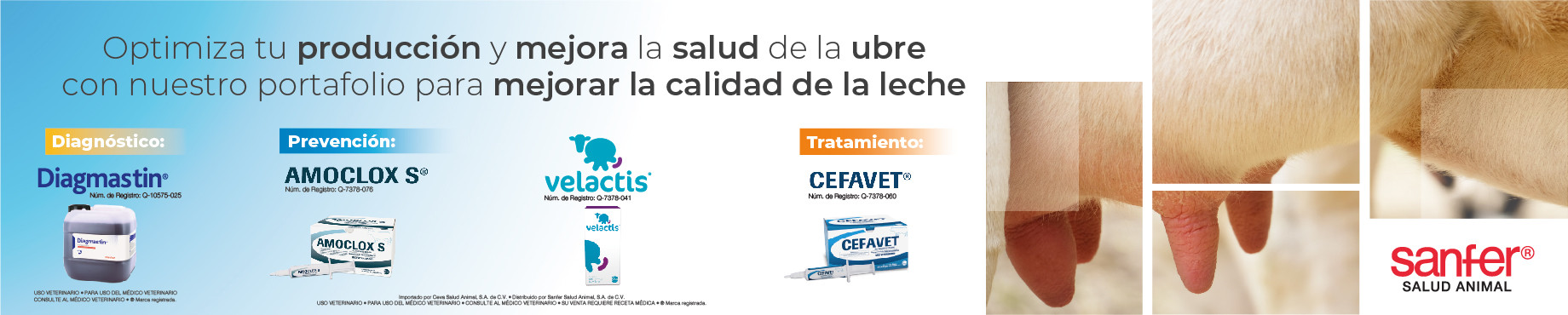 Sanfer | Salud Animal | Productos